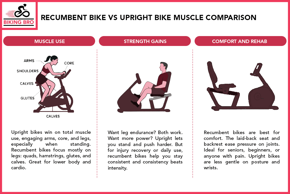 Recumbent Bike Muscles Worked (+ Full Workout & Benefits)