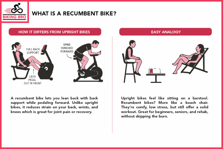 Recumbent Bike Muscles Worked (+ Full Workout & Benefits)